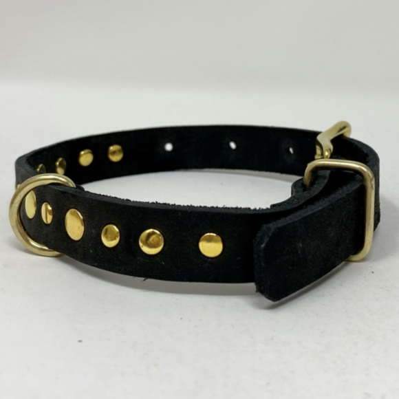 Everything Pets Posh Party on Poshmark